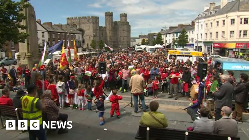 Brexit: Cardiff and Caernarfon rallies seek independent Wales - BBC News