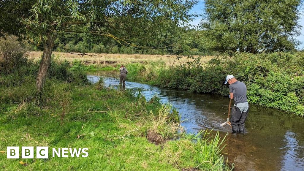 Warwickshire Wildlife trust launches River Blythe improvement scheme ...