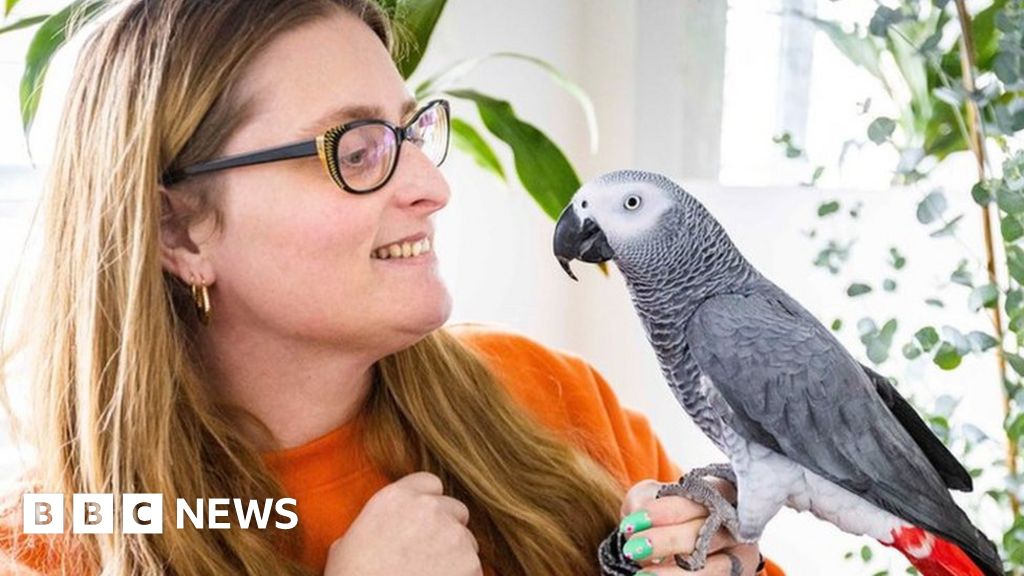 Parrots live life of luxury in Basingstoke after owner wins £2m - BBC News
