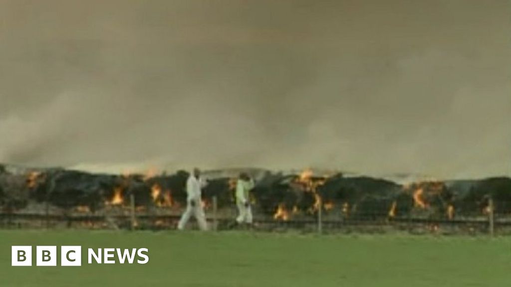 BBC Rewind: The 2001 foot-and-mouth outbreak - BBC News