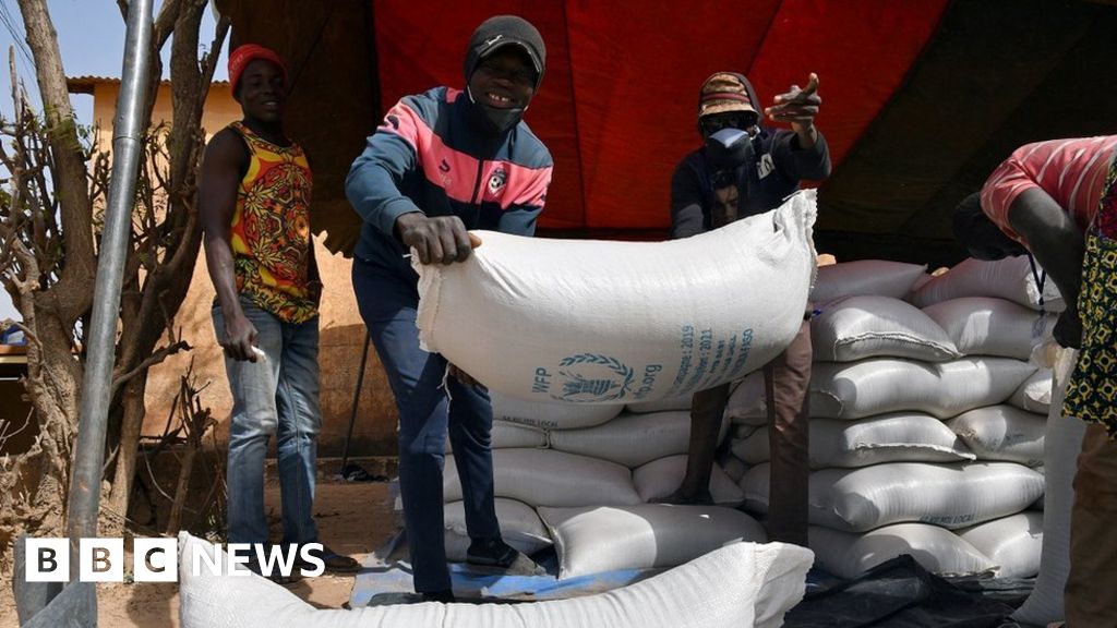 World Food Programme: What is the UN body and what does it do? - BBC News