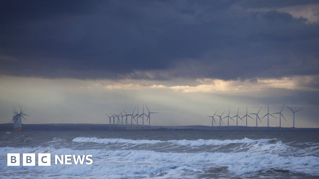 Renewable energy projects win clean power auction