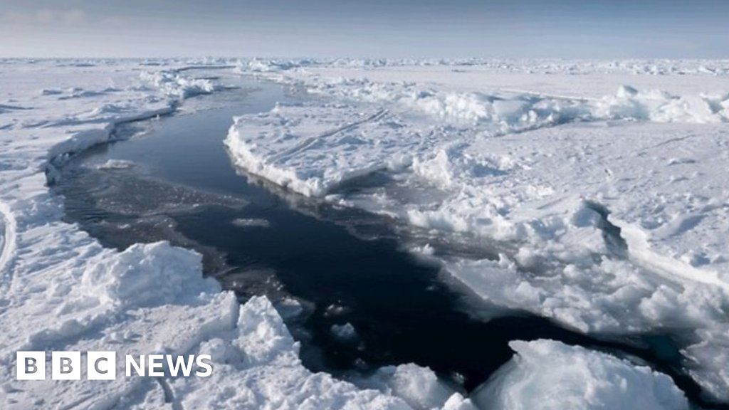 Warming Arctic the 'new normal' - BBC News