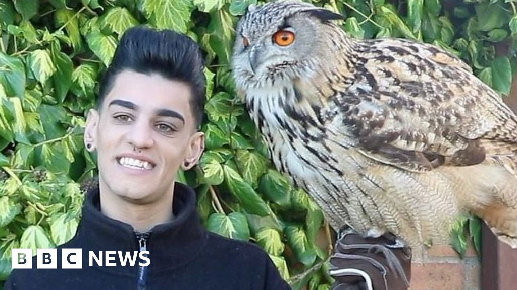 Covid: Blackpool animal sanctuary 'feared for future' over financial ...