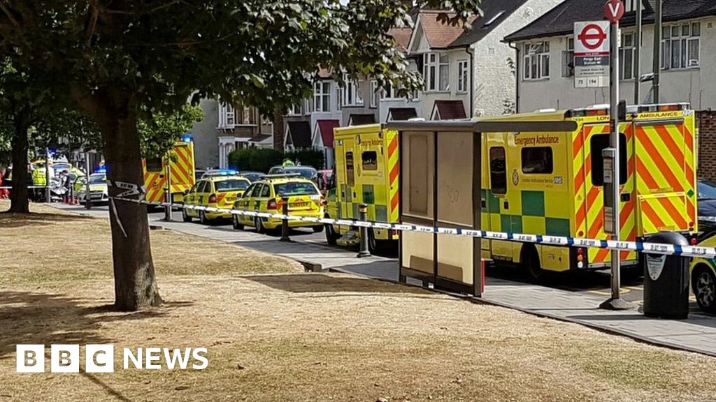 Woman and boy dead in Penge as stolen car pursued by police 'hits ...