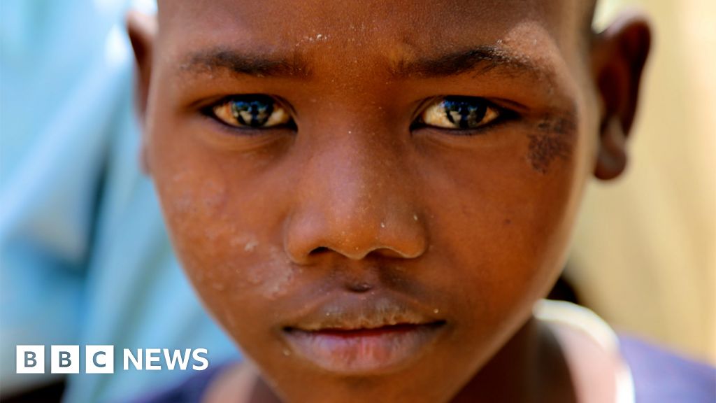 Life in a town called Mongo - BBC News