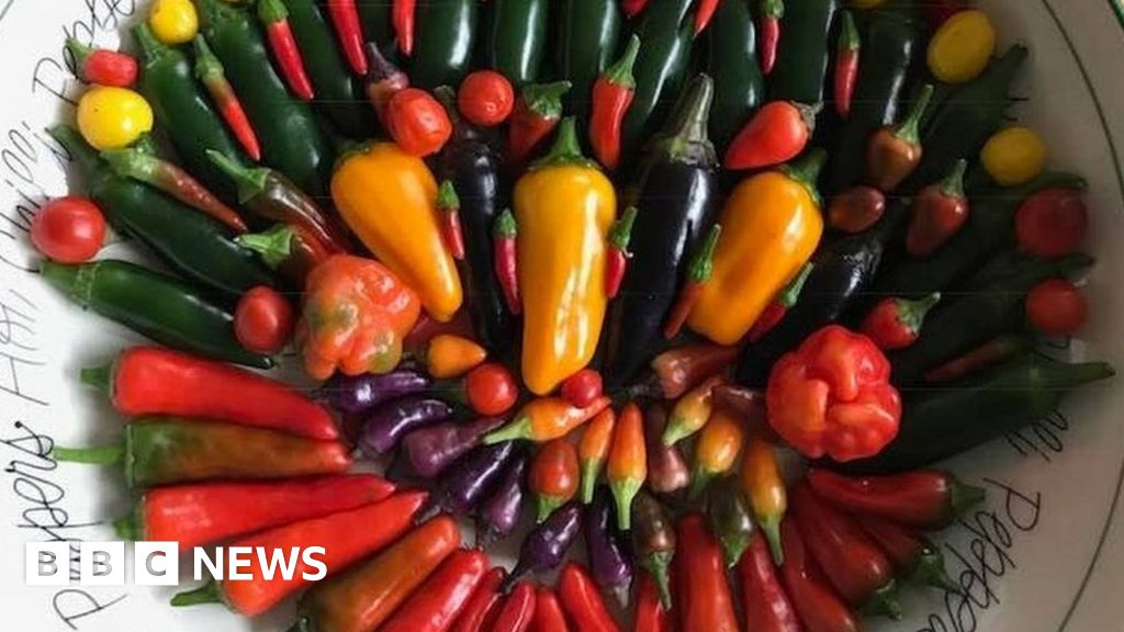 The town that became Scotland's chilli capital - BBC News