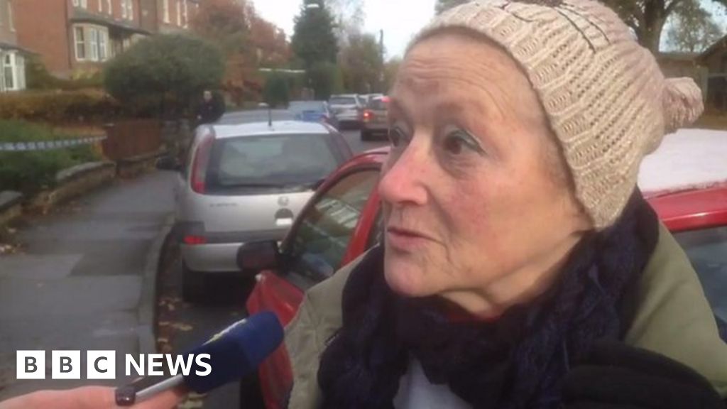 Ripon woman talks about back garden sinkhole - BBC News