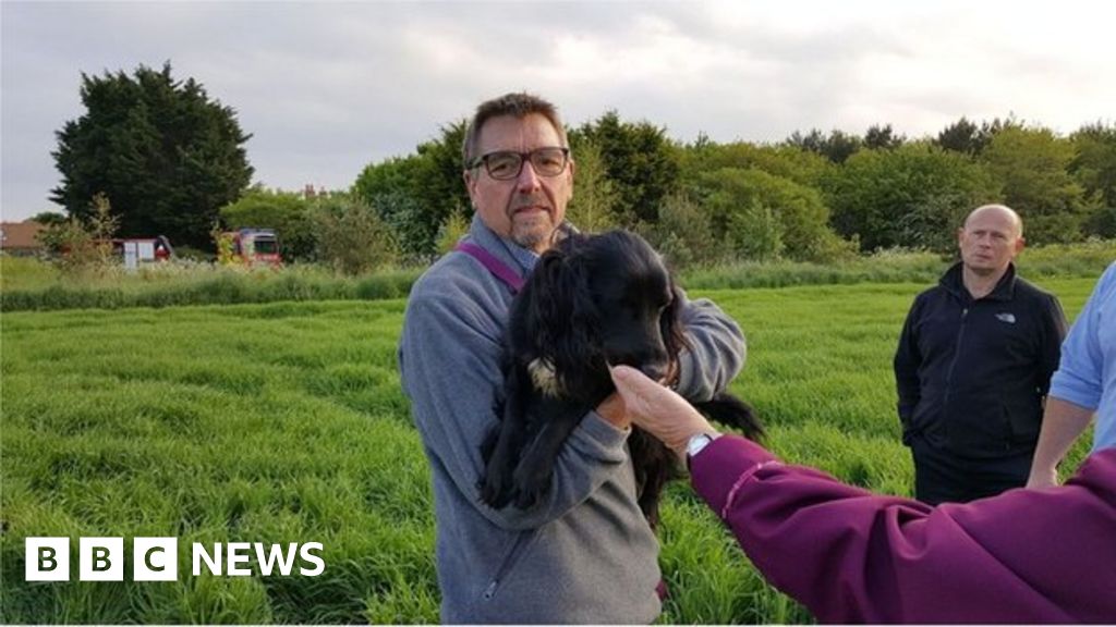 Missing cocker spaniel rescued from 25m deep dry well - BBC News