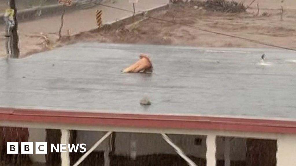 Hawaii flooding prompts evacuations - BBC News