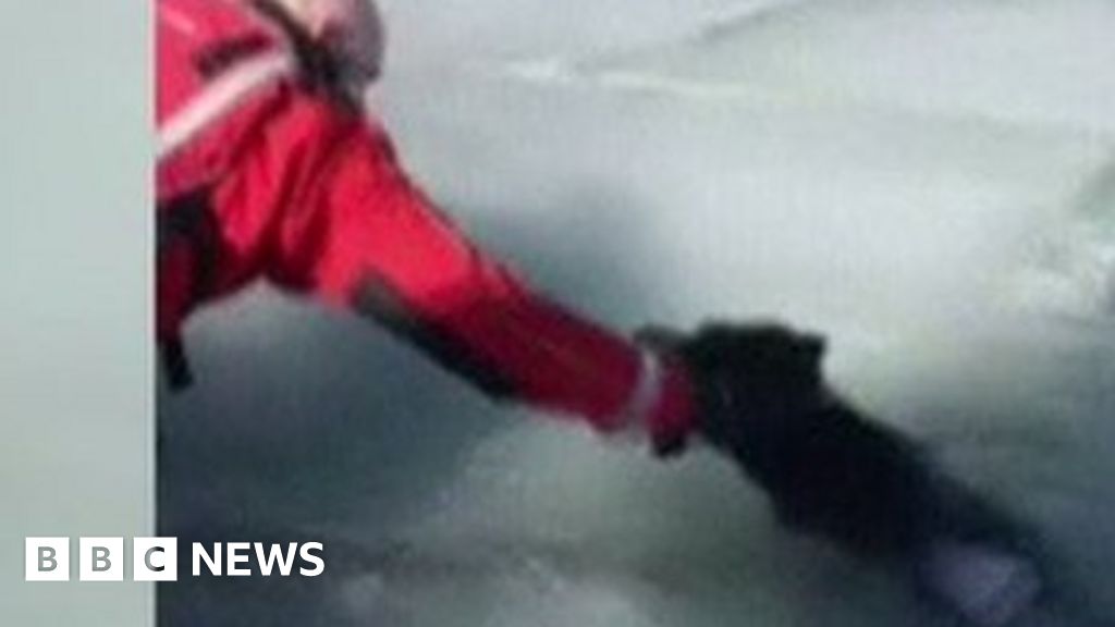Dramatic rescue of dog trapped in ice in US state of Utah - BBC News