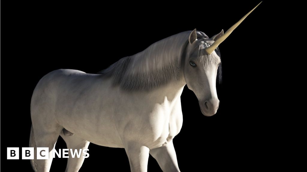 How do you manage a unicorn firm? - BBC News