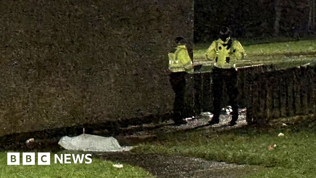 Police shoot dog dead after two men attacked in Hamilton - BBC News