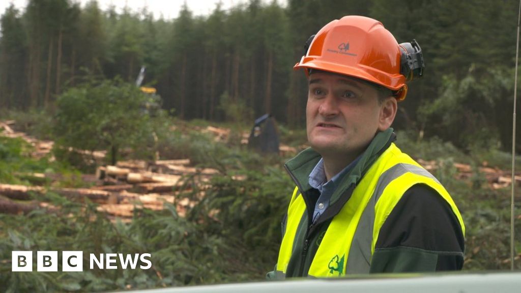 The battle to save Scotland's forests from disease - BBC News