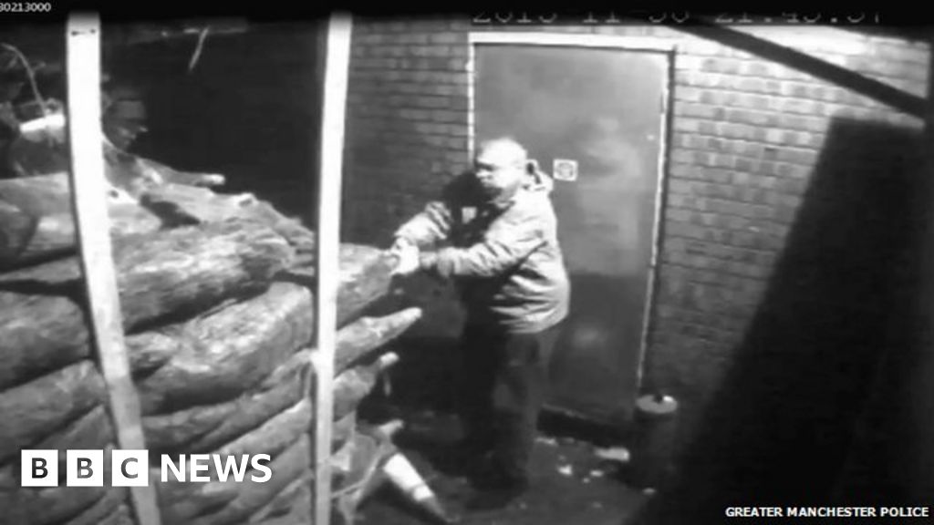 CCTV 'shows theft of Christmas trees from Manchester shop' - BBC News