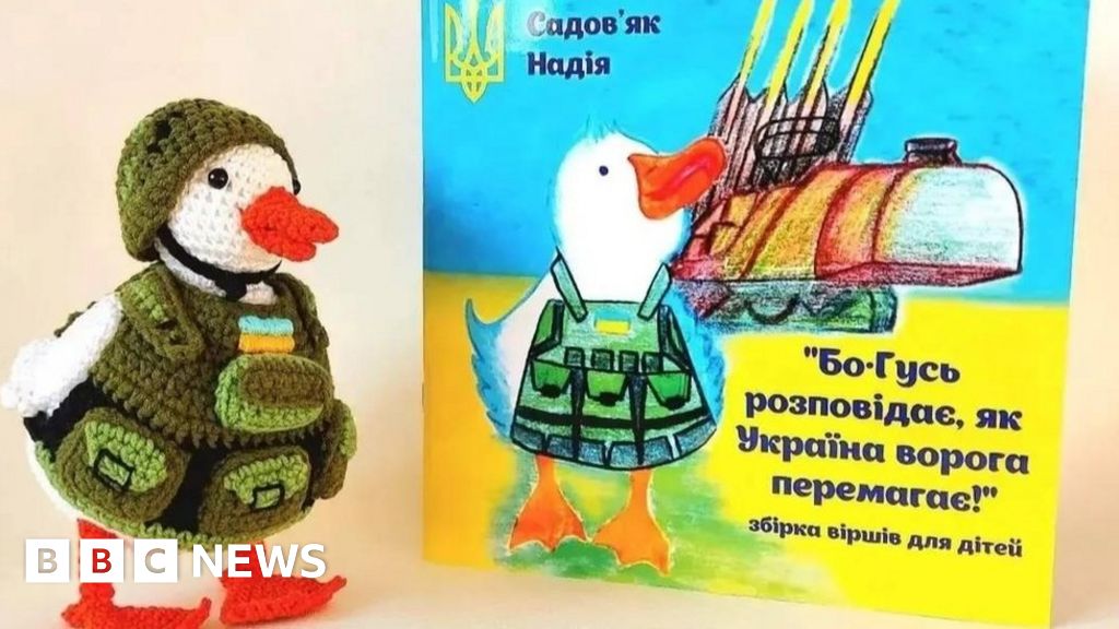 'Brave Goose' book helps children understand Ukraine war - BBC News