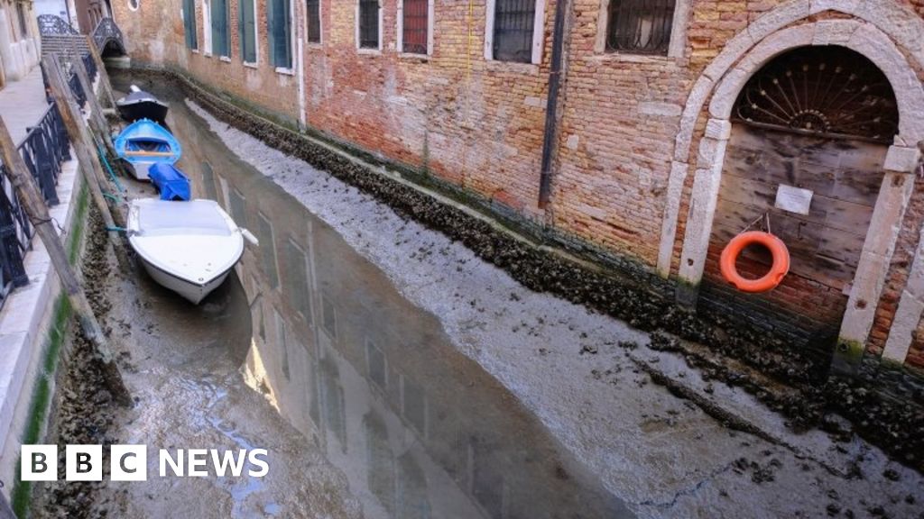 Venice: Low tides leave canals dry - BBC News