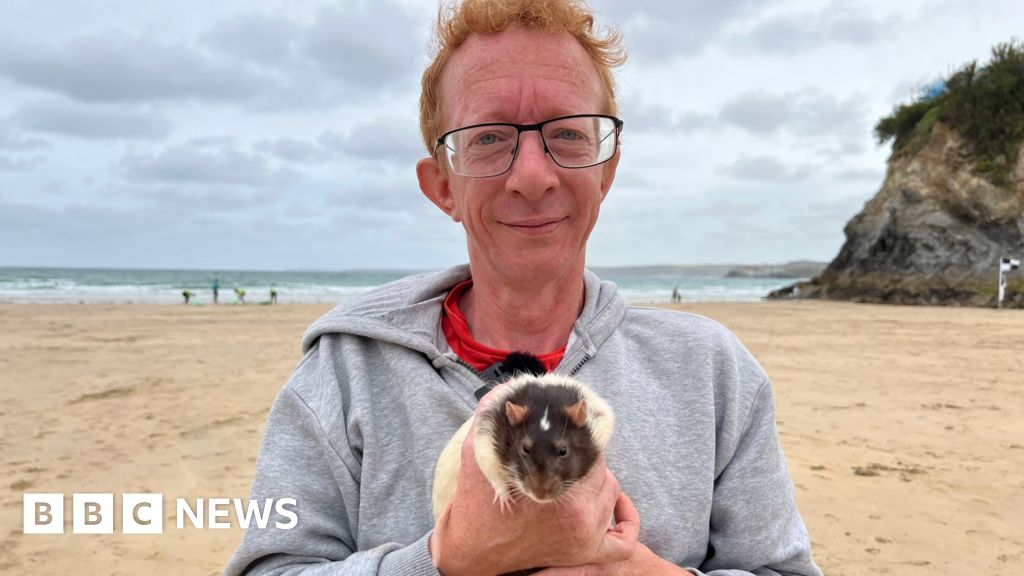 Newquay rat man on mission to end rodent stigma - BBC News
