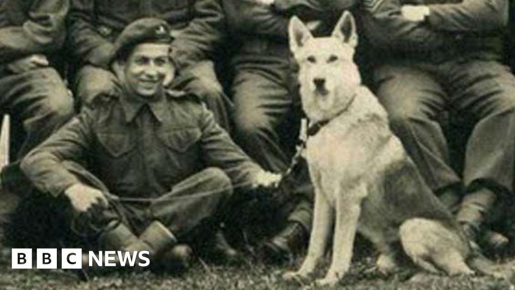 Essex D-Day soldier and para-dog buried together in Normandy - BBC News