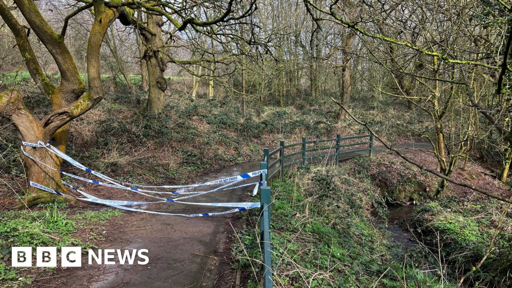 Newcastle-under-Lyme: Park sex attackers hunted by police
