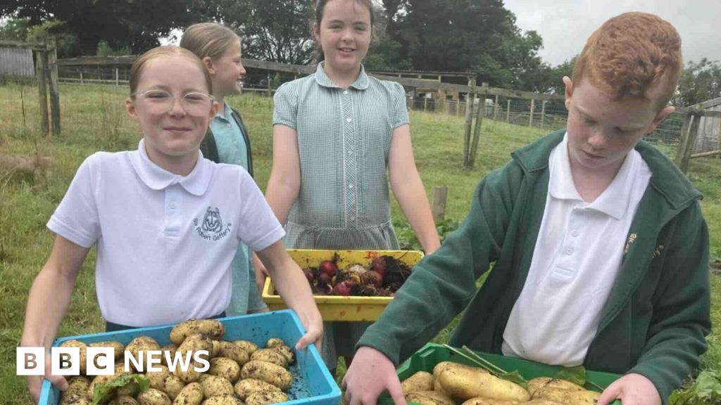 Cornwall children's no dig fruit and veg farm scoops award