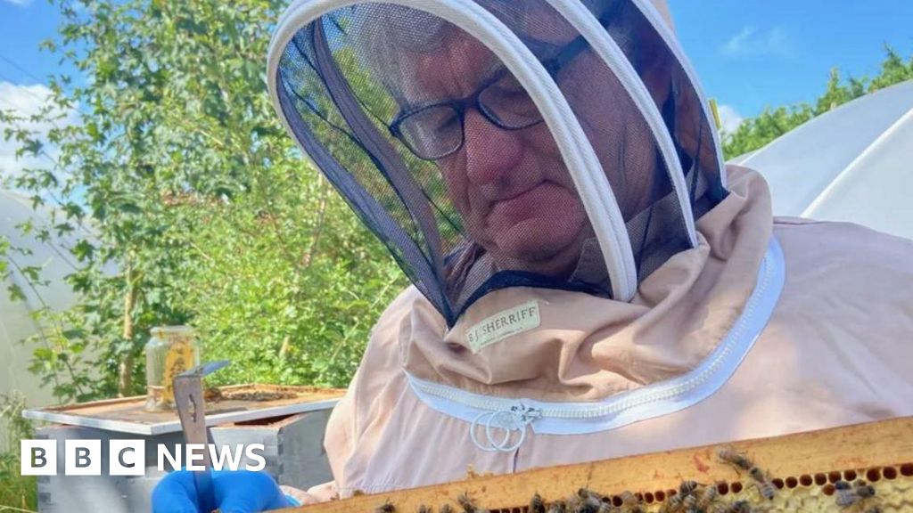 Asian hornets pose 'massive risk', Lincolnshire beekeeper warns - BBC News