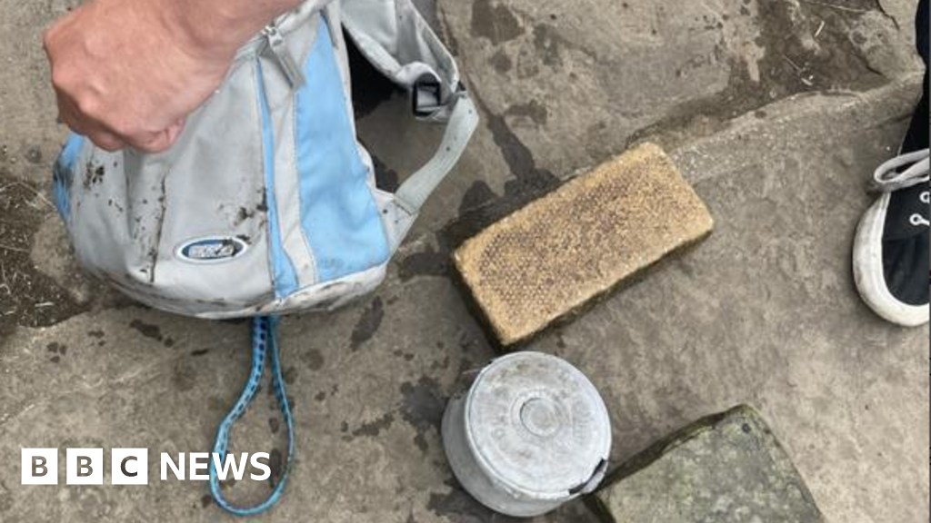 Drowned dog found weighted down in Wakefield river