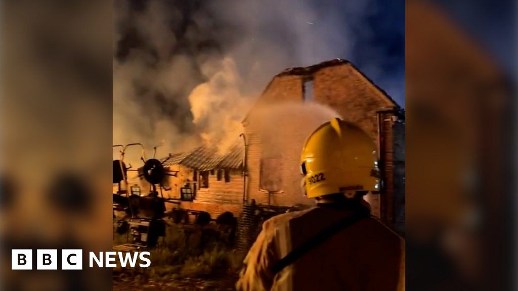 Three pigs die after Newbury barn fire - BBC News