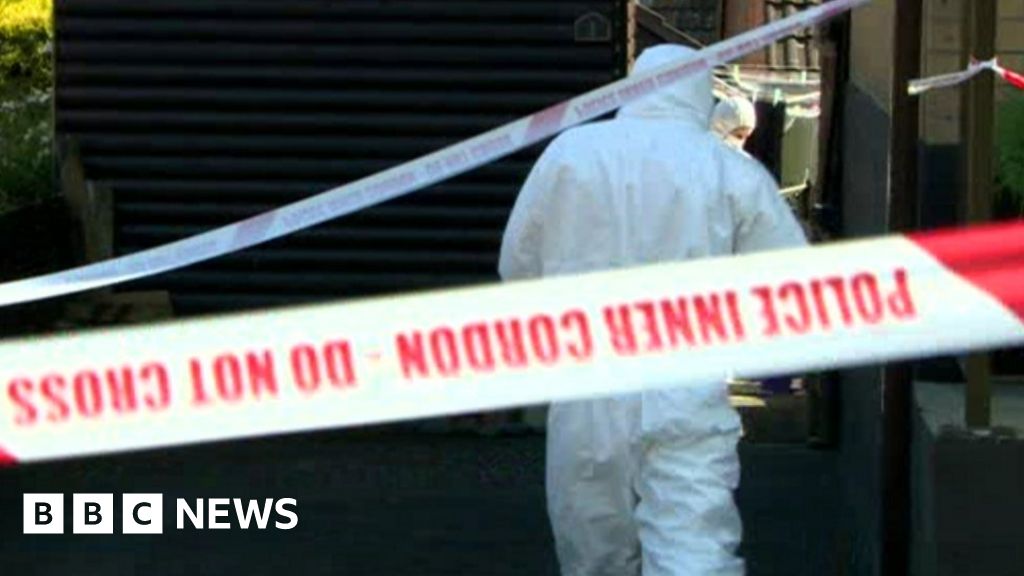 Dundonald man stabbed confronting intruder in garden