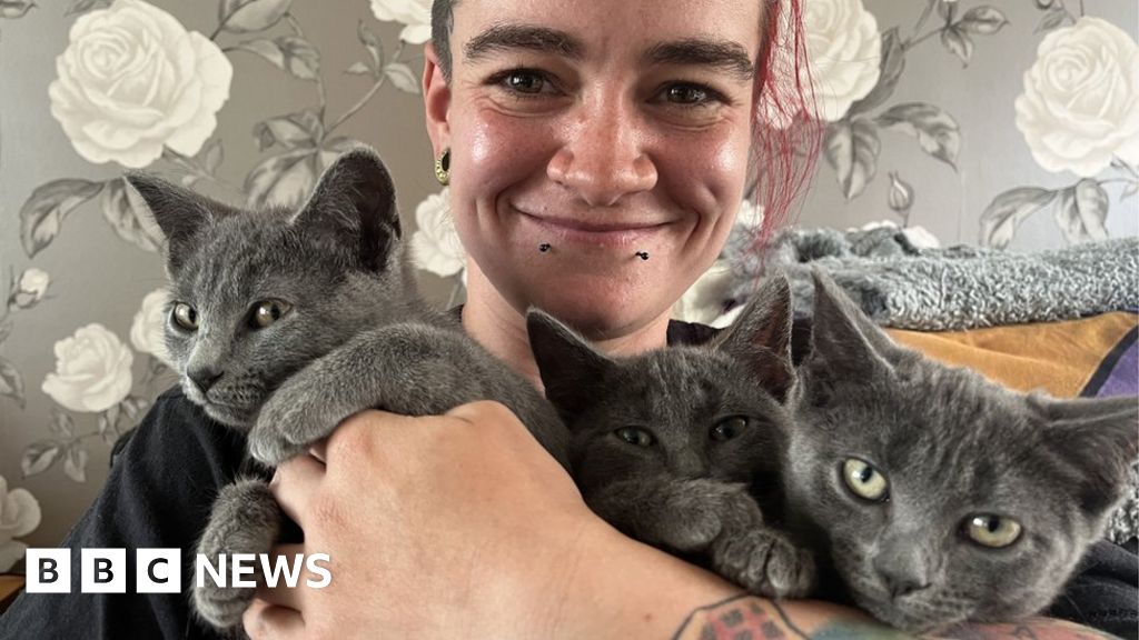 Woman nurses kittens after two-day rescue near Basingstoke