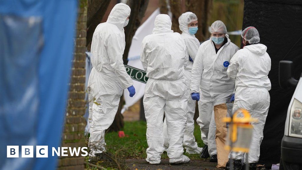 Hailsham: Murder arrests after fatal hit-and-run crash