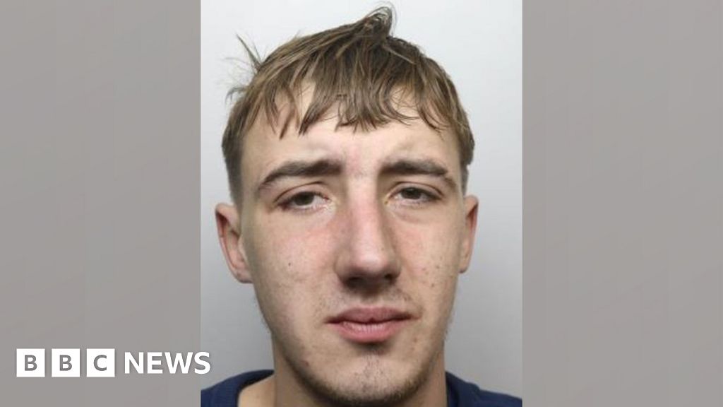 Rotherham: Troy Wildin jailed for snatching disabled woman's handbag