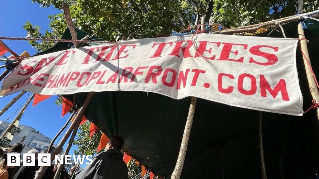 Sussex Poplar Front: Hundreds join tree protest festival - BBC News