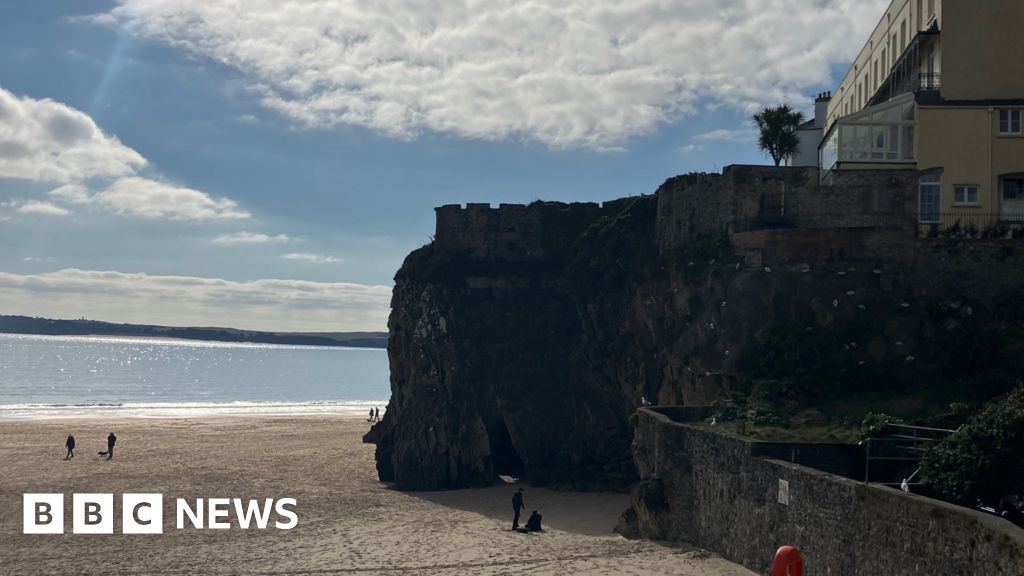 Tenby: Cliffs plagued by cat-sized rats, say residents - BBC News