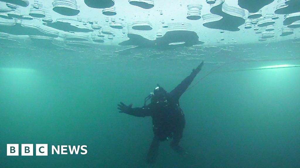 Ice diving: ‘An otherworldly experience’ - BBC News
