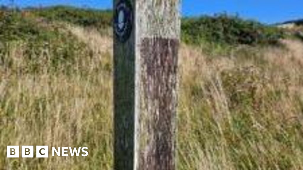 South Downs: East Sussex trail damaged in 'targeted attack' - BBC News