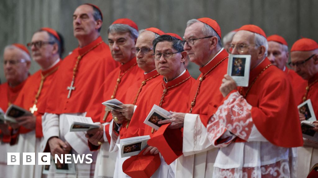 Who will be the next Pope? - BBC News