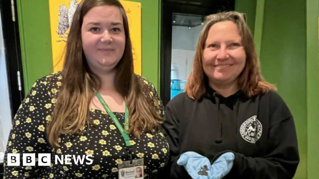 'Very rare' post-medieval lead doll found in Long Whatton brook - BBC News