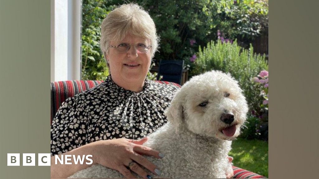 Wrongfully convicted Somerset sub-postmistress receives compensation ...