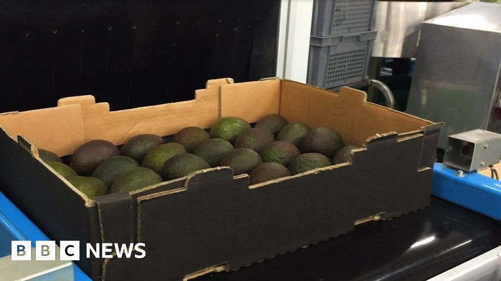 Supermarkets trial new lasering technique to reduce packaging