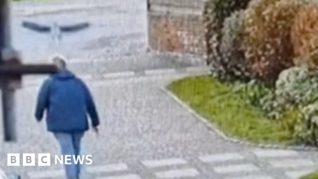 Video shows hawk attacking man in Flamstead - BBC News