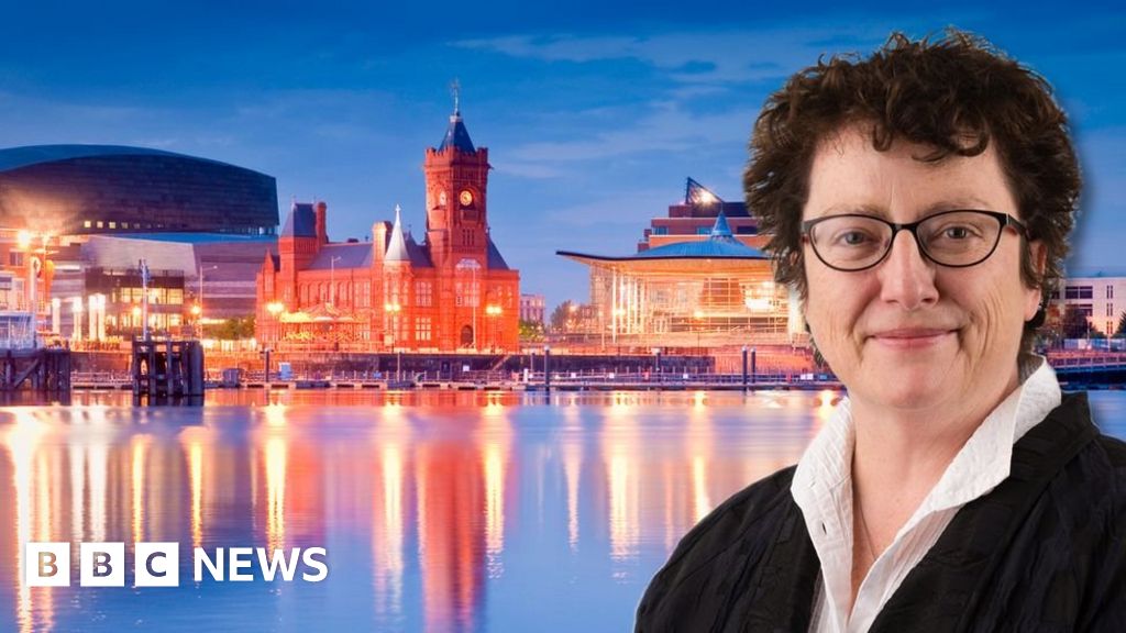 What made Senedd members laugh in 2022? - BBC News