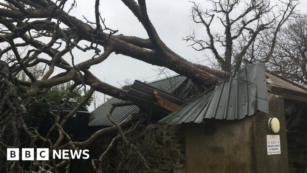 Storm Barra: Damaged buildings and battered coastline in Wales - BBC News