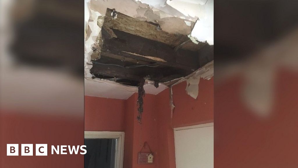 Newcastle family rehomed from unsafe house in shocking state - BBC News