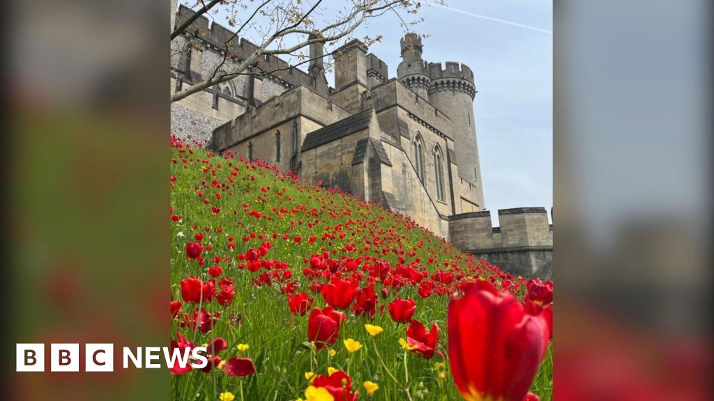 Brighton boy who fled Ukraine war wins photography competition - BBC News