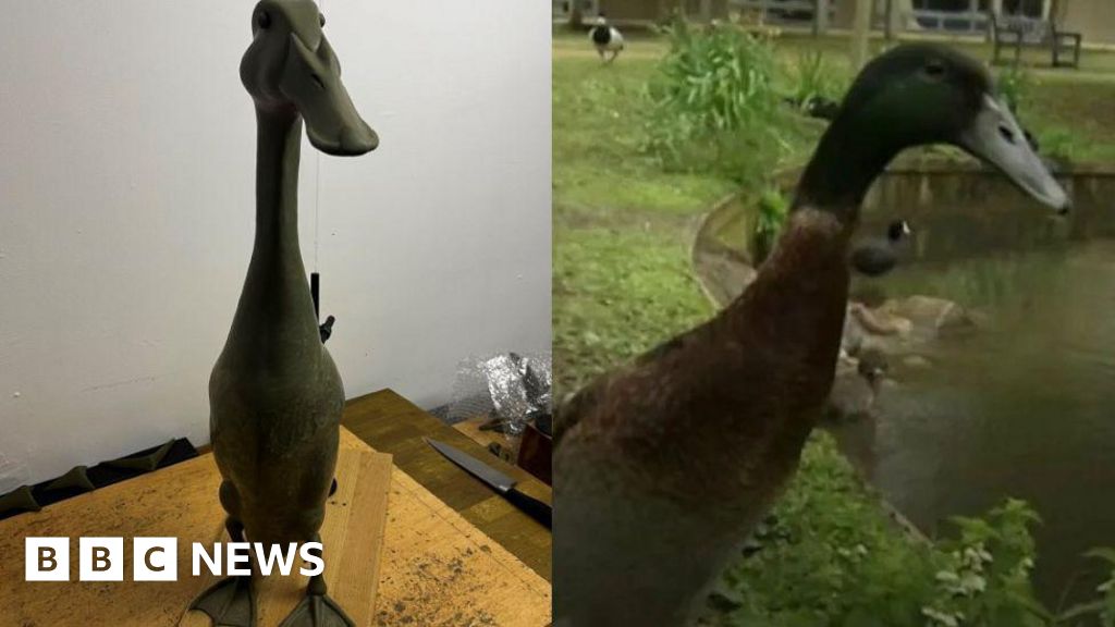 Long Boi: First look at sculpture of University of York duck - BBC News