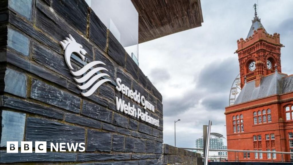 Anonymise politicians' relatives working in Senedd, report says - BBC News