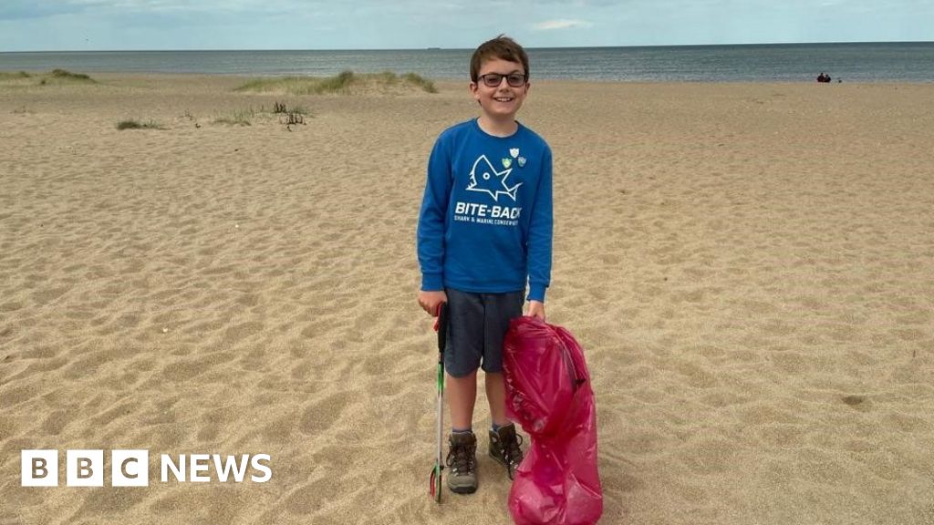 Lincolnshire boy, 11, takes on 'epic' beach-clean challenge - BBC News
