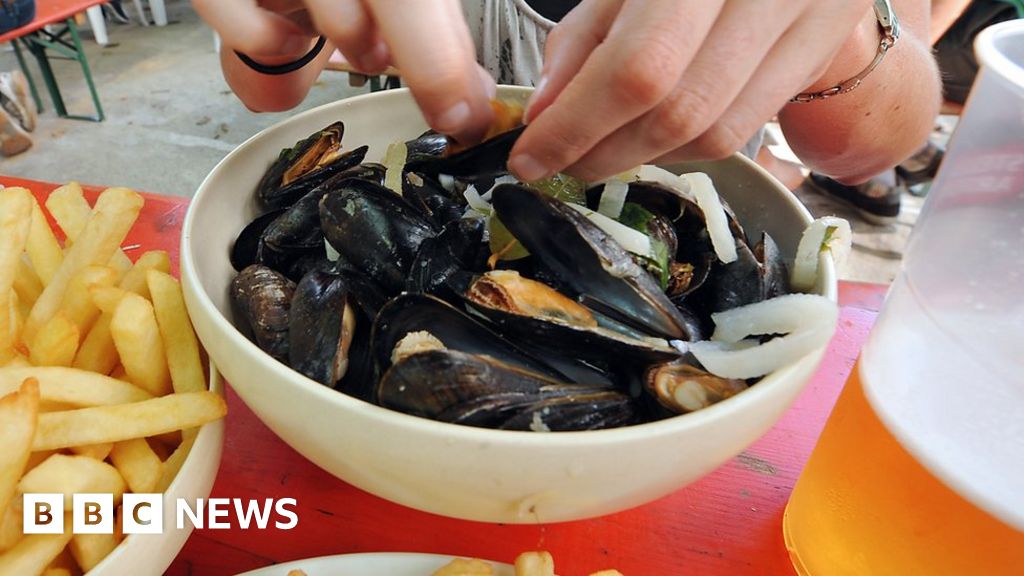Plastic and other waste found in British mussels - BBC News