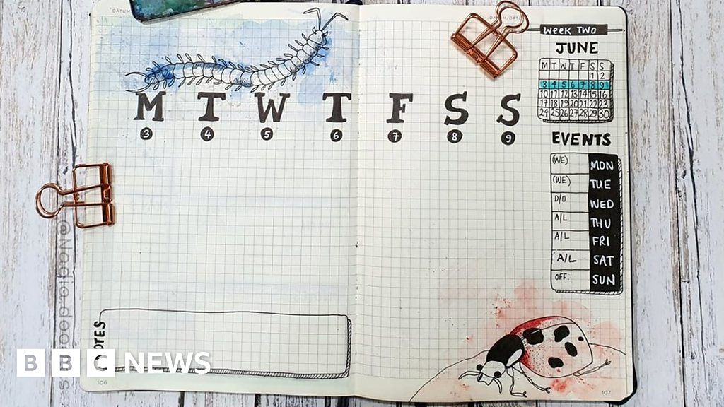 'I bought a house thanks to my bullet journal' - BBC News